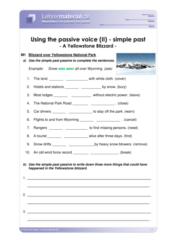 Arbeitsblatt Using The Passive Voice II Simple Past Lehrermaterial de Arbeitsblatt Using The Passive Voice II Simple Past Lehrermaterial de